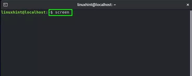 Cum folosesc comanda Screen în CentOS 197_5
