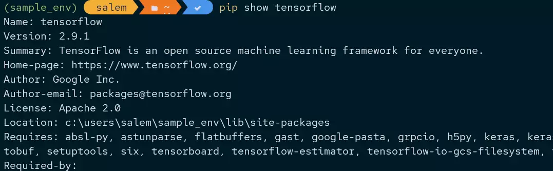 Intet modul med navnet 'TensorFlow' 1987_4