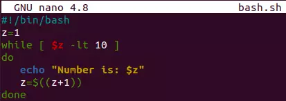 Iyini i-Syntax ye-Asic Loop in Shell Scripting? 2040_5