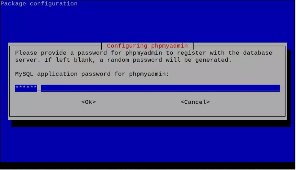 ರಾಸ್ಪ್ಬೆರಿ ಪೈನಲ್ಲಿ PHPMyAdmin ಅನ್ನು ಹೇಗೆ ಸ್ಥಾಪಿಸುವುದು 2059_4
