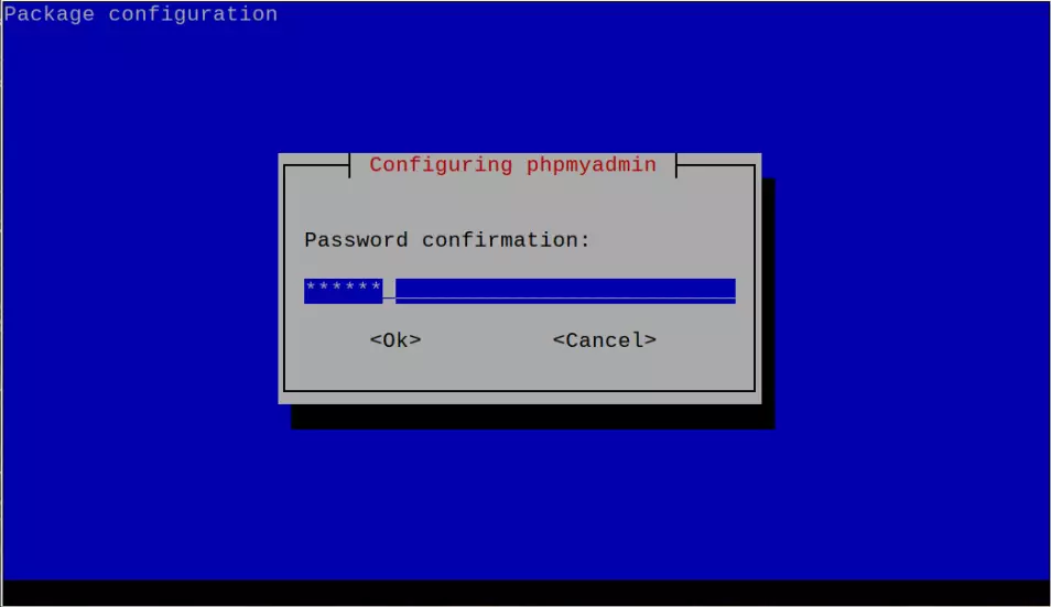 PHPMyAdmini installimine Raspberry Pi-sse 2059_5