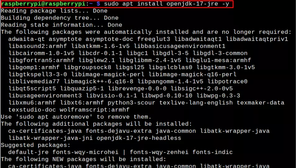 Cum se instalează Jenkins pe Raspberry Pi 2060_1
