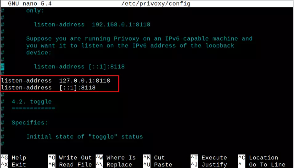 Поставете Raspberry Pi Proxy Server користејќи Privoxy 2070_4