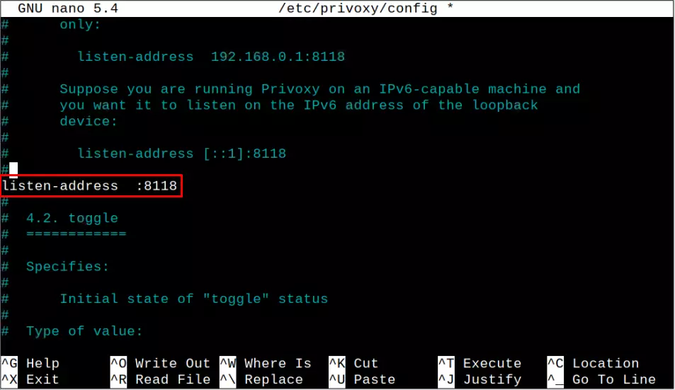 Seadistage Raspberry Pi puhverserver Privoxy abil 2070_5