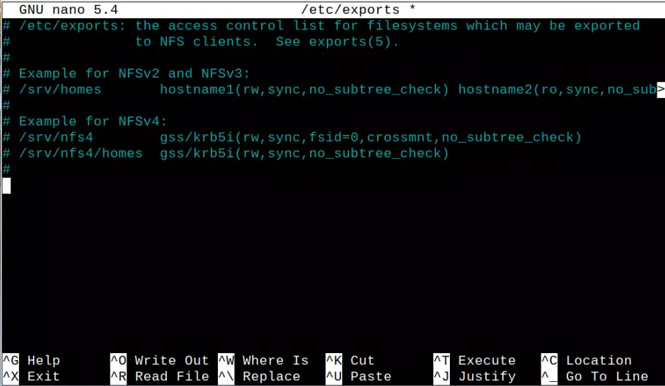 Nka hokela joang ho karolo ea NFS ho Raspberry Pi 2077_7