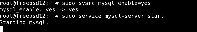 Instalu MariaDB sur FreeBSD 2096_5