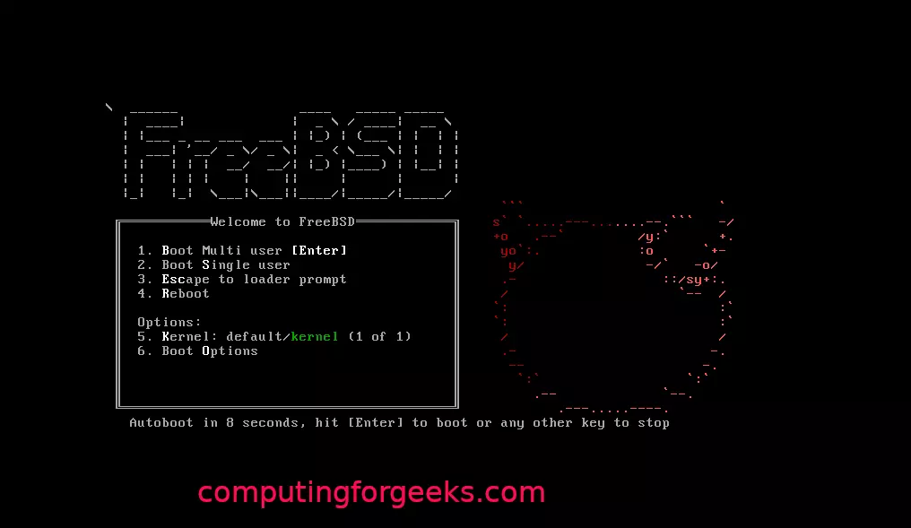 Nola instalatu FreeBSD 12 VirtualBox-en? 2098_15