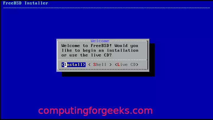 Nola instalatu FreeBSD 12 VirtualBox-en? 2098_16