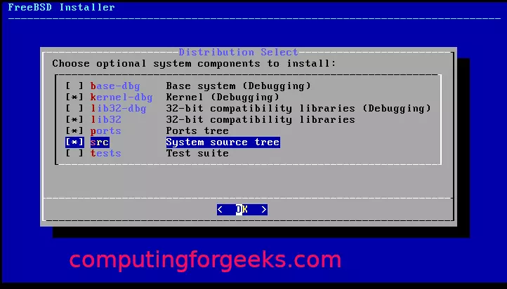 Nola instalatu FreeBSD 12 VirtualBox-en? 2098_18