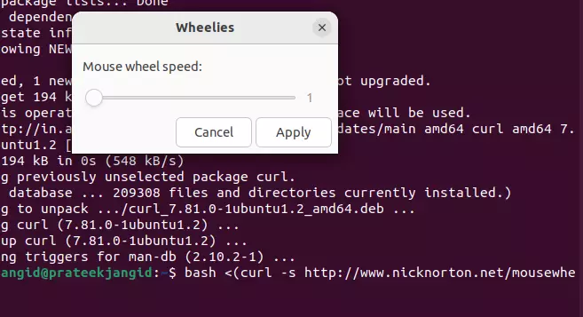 Kaip pakeisti pelės slinkties greitį Ubuntu 20_1
