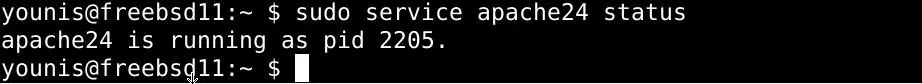 FreeBSD ನಲ್ಲಿ Apache, PHP ಮತ್ತು MySQL ಅನ್ನು ಸ್ಥಾಪಿಸಿ 2100_12