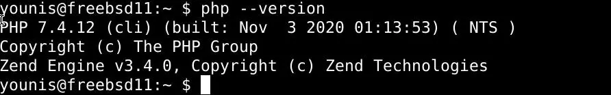 FreeBSD ನಲ್ಲಿ Apache, PHP ಮತ್ತು MySQL ಅನ್ನು ಸ್ಥಾಪಿಸಿ 2100_20