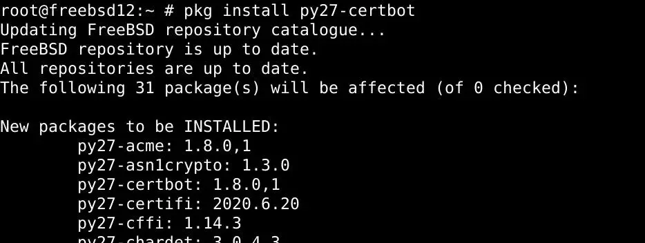 დააყენეთ მოდით დავშიფროთ FreeBSD-ზე 2101_1