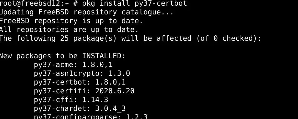 დააყენეთ მოდით დავშიფროთ FreeBSD-ზე 2101_2