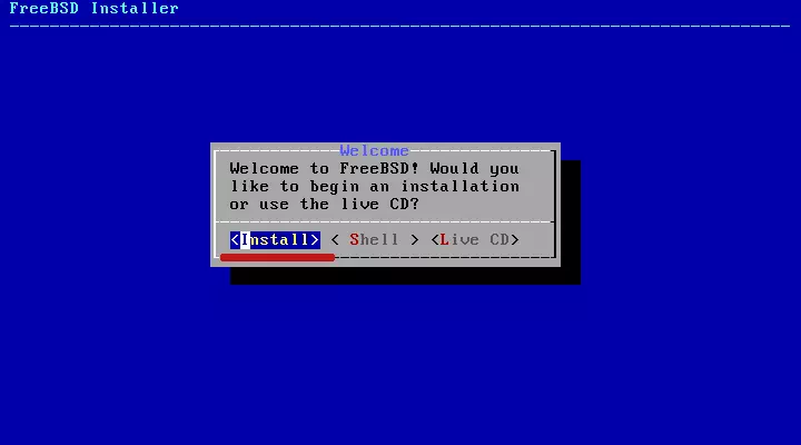 FreeBSDде ZFSди орнотуңуз жана конфигурациялаңыз 2102_2