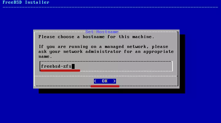 Տեղադրեք և կարգավորեք ZFS-ը FreeBSD-ում 2102_4