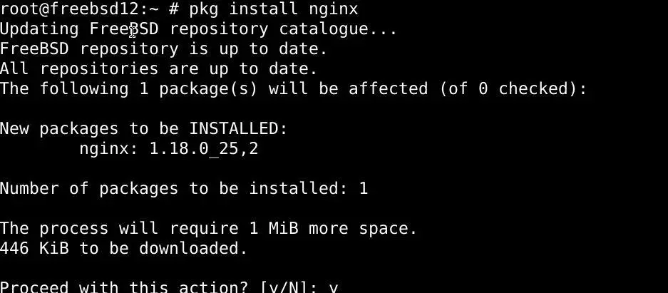 Installeer Nginx op FreeBSD 2103_2