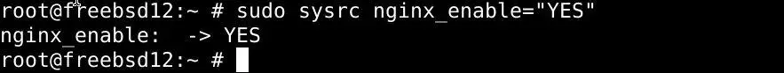 FreeBSD ನಲ್ಲಿ Nginx ಅನ್ನು ಸ್ಥಾಪಿಸಲಾಗುತ್ತಿದೆ 2103_3