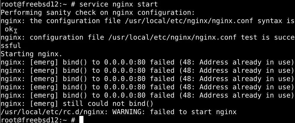 Nginx በ FreeBSD ላይ በመጫን ላይ 2103_4