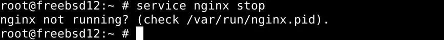 FreeBSD ನಲ್ಲಿ Nginx ಅನ್ನು ಸ್ಥಾಪಿಸಲಾಗುತ್ತಿದೆ 2103_5