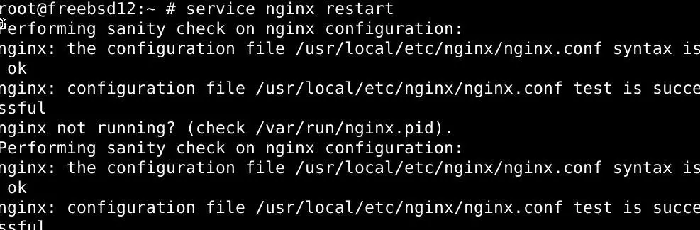 Installation af Nginx på FreeBSD 2103_6