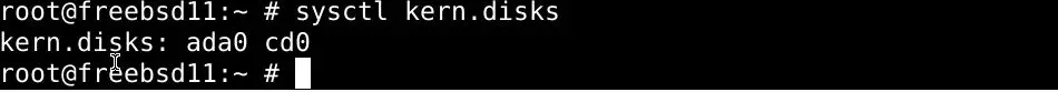 لیست دیسک های FreeBSD 2109_10