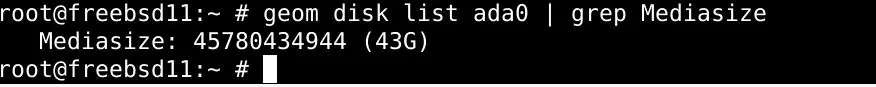 FreeBSD ro'yxati disklari 2109_4
