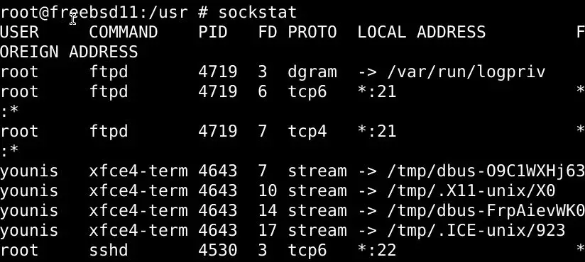 FreeBSD मा खुला पोर्टहरू जाँच गर्नुहोस् 2110_1