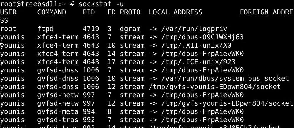 FreeBSD मा खुला पोर्टहरू जाँच गर्नुहोस् 2110_10