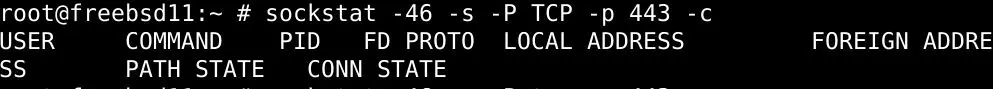 FreeBSD-de açyk portlary barlaň 2110_11