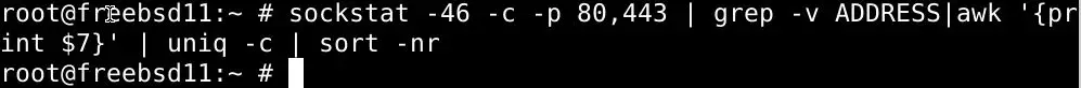 FreeBSD मा खुला पोर्टहरू जाँच गर्नुहोस् 2110_12