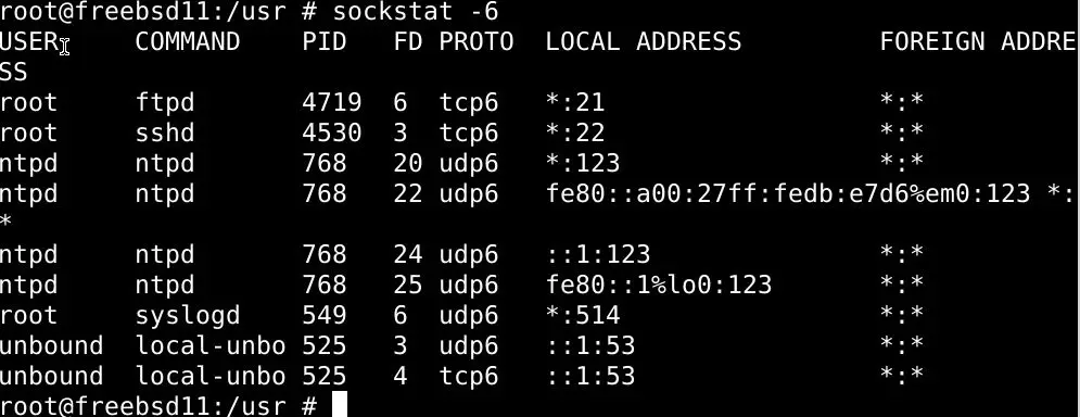 Controleer open poorten op FreeBSD 2110_3