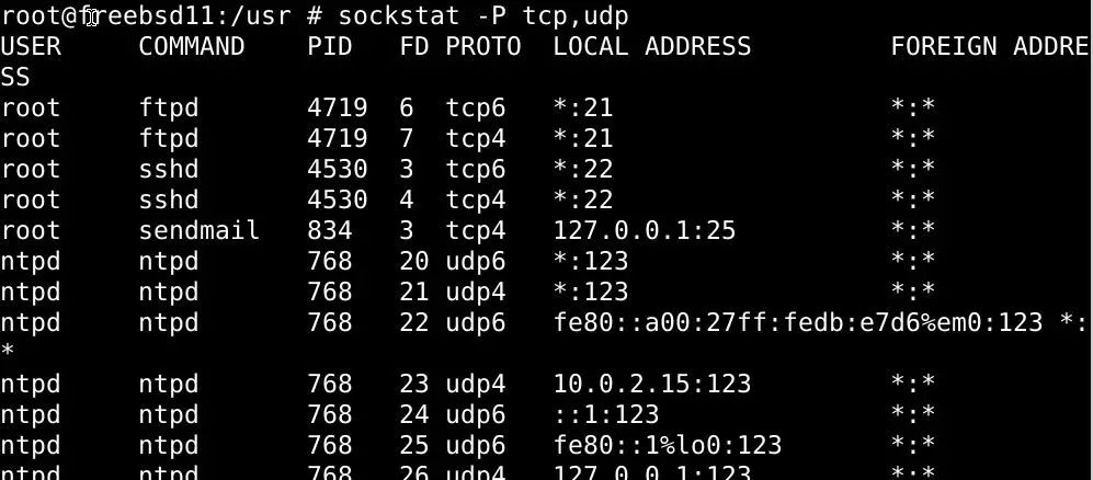 FreeBSD मा खुला पोर्टहरू जाँच गर्नुहोस् 2110_4