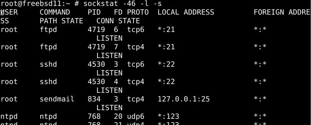 FreeBSD-de açyk portlary barlaň 2110_7