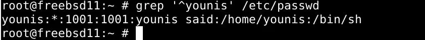 FreeBSD でシステム ユーザーを一覧表示する方法 2111_6