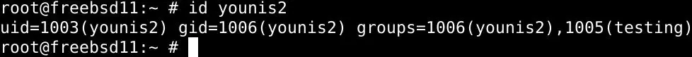 FreeBSD သည် အသုံးပြုသူအား အုပ်စုများသို့ ပေါင်းထည့်ပါ။ 2112_10