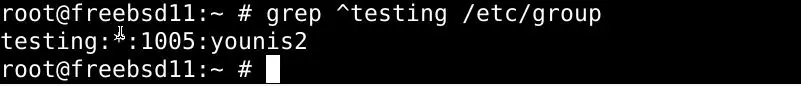 FreeBSD أضف المستخدم إلى المجموعات 2112_12