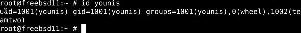 FreeBSD ユーザーをグループに追加 2112_2