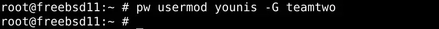 FreeBSD أضف المستخدم إلى المجموعات 2112_3