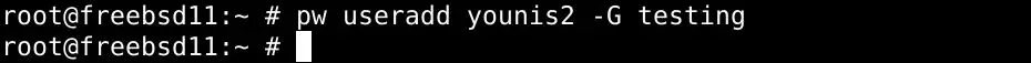 FreeBSD أضف المستخدم إلى المجموعات 2112_8