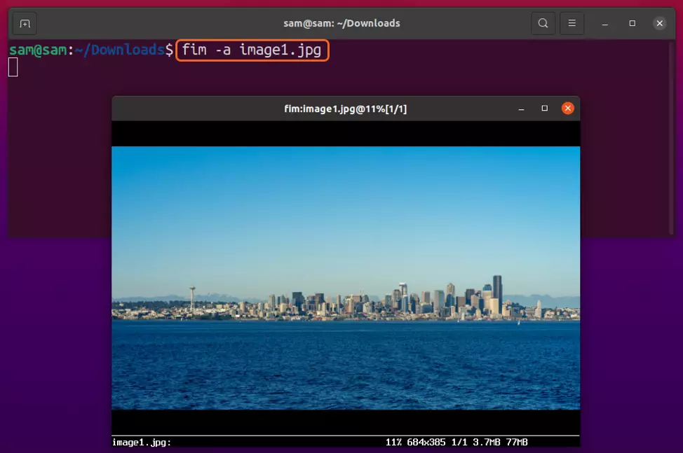 Како да прикажам слика во терминал Линукс? 2169_2