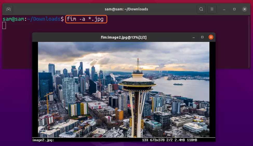 నేను Linux టెర్మినల్లో చిత్రాన్ని ఎలా ప్రదర్శించగలను? 2169_3
