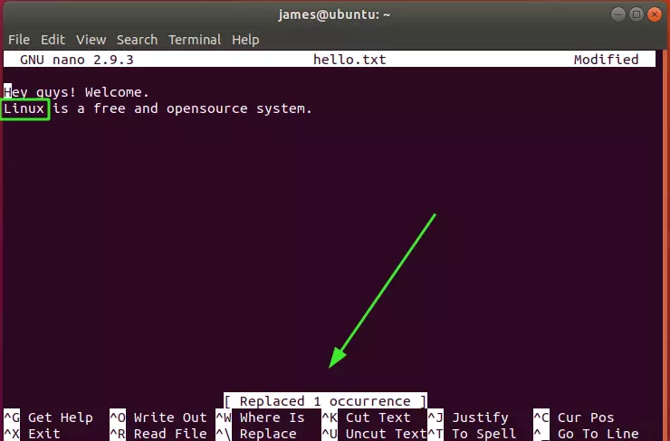 Cómo usar Nano en Linux 2375_8