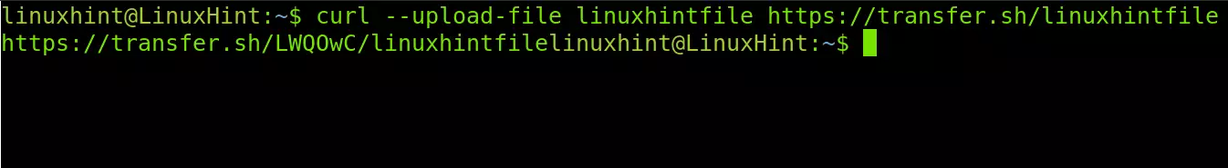 Linux'та cURL командасын ничек кулланырга 239_10
