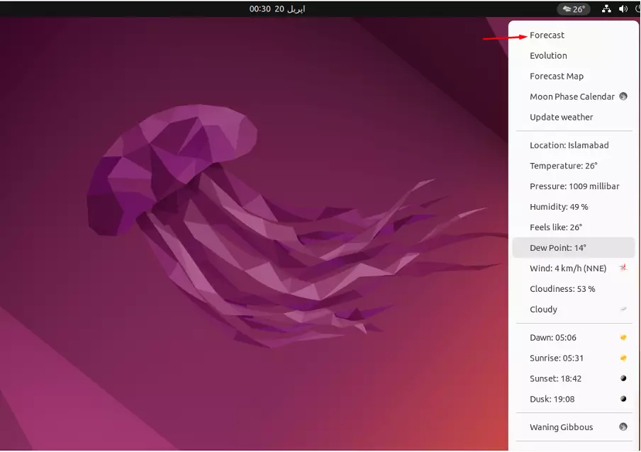 Как установить индикатор погоды для Ubuntu 22.04 (LTS) 2421_8