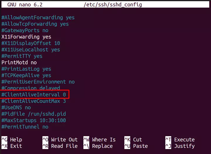 Panalipdi ang SSH Server sa Ubuntu 22.04 | Advanced nga mga Pamaagi 2428_10