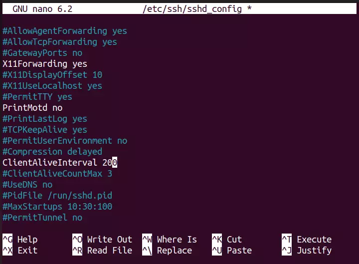 Puipui SSH Server i le Ubuntu 22.04 | Metotia Maualuga 2428_11