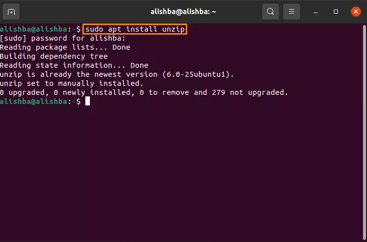 Giunsa ang pag-unzip sa usa ka zip file sa Ubuntu 2494_1