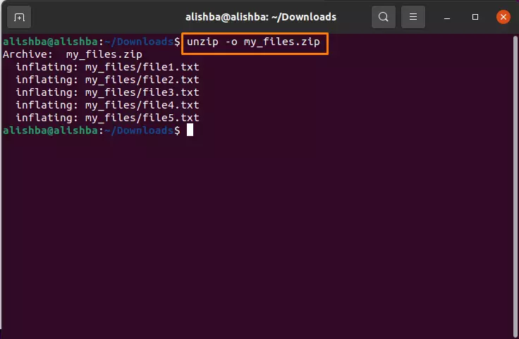 როგორ გავხსნათ zip ფაილი Ubuntu-ში 2494_10
