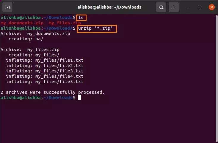 Hur man packar upp en zip-fil i Ubuntu 2494_13
